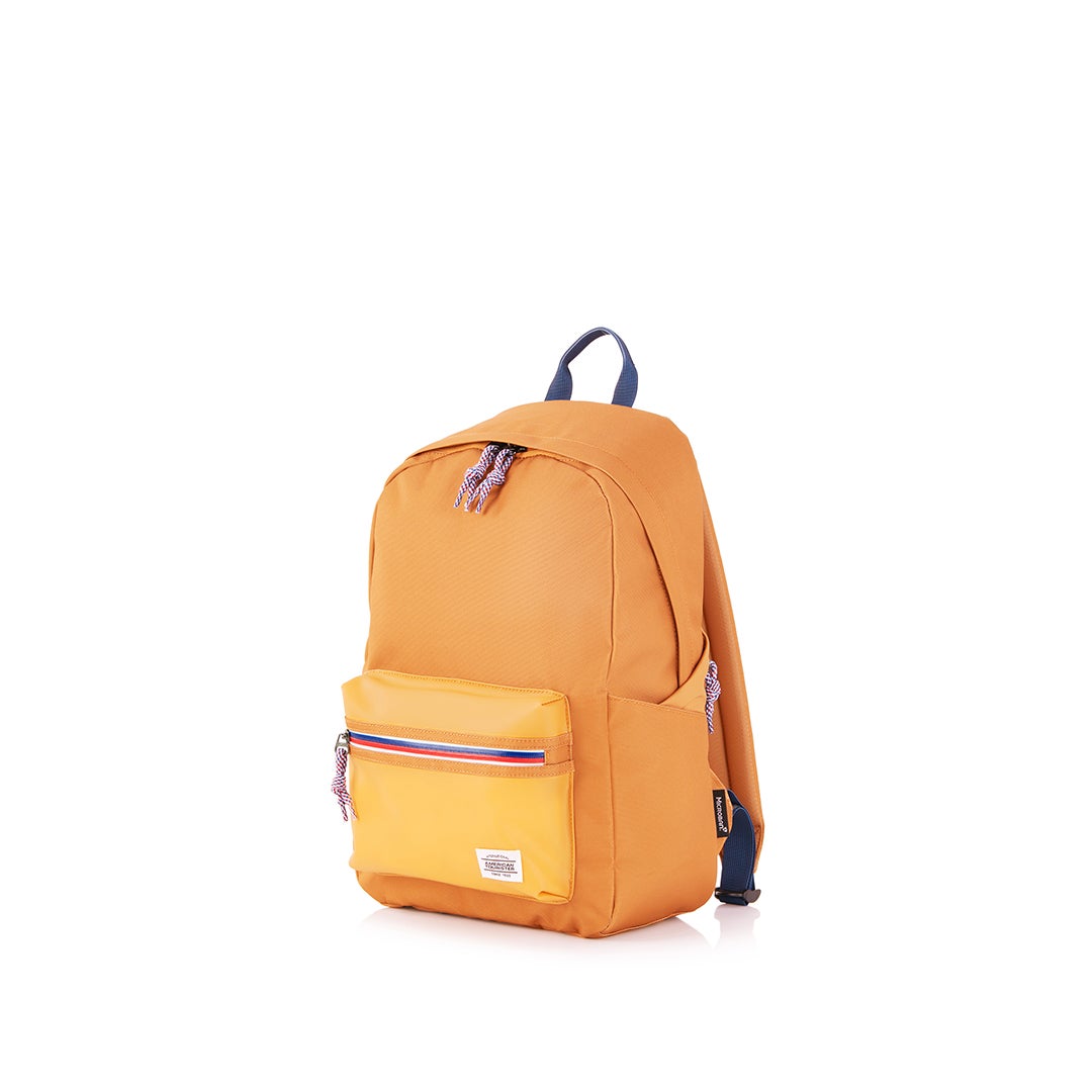 American Tourister Carter Backpack 1 As Lapt